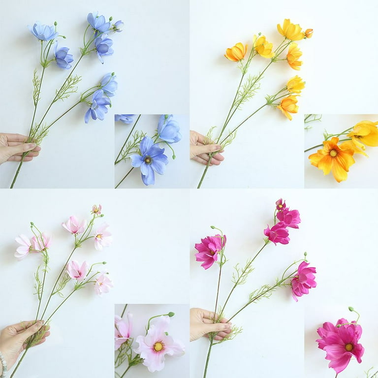 Single Flower With Stem