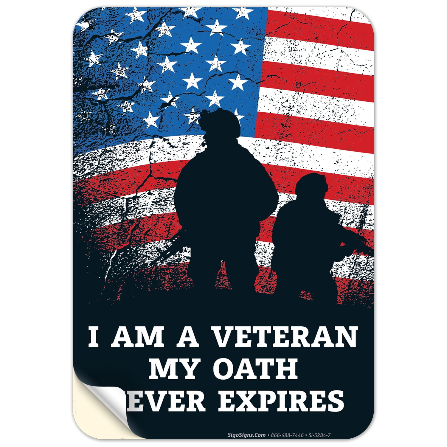American Flag Veteran Oath Sign, Wall Decor Man Cave Bar Sign, 10x7 ...