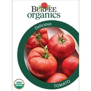 Burpee Bodacious Hybrid Tomato Vegetable Seed, 1-Pack - Walmart.com