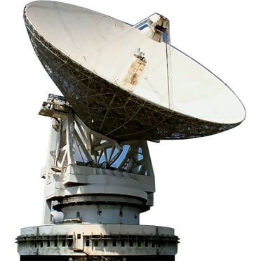 Star Cutouts SC2047 Panther Cardboard Cutout Standup, Black - Walmart.com