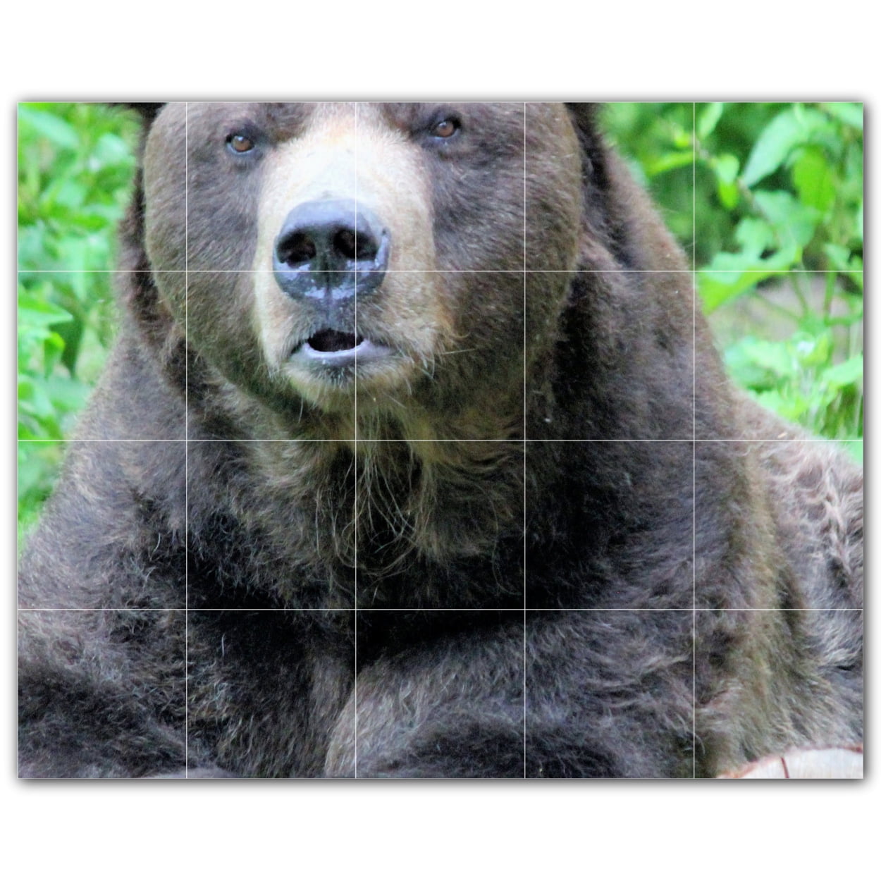 Picture-Tiles.com: Bear Ceramic Tile Wall Mural WAL500110-54XL. 60"W x ...