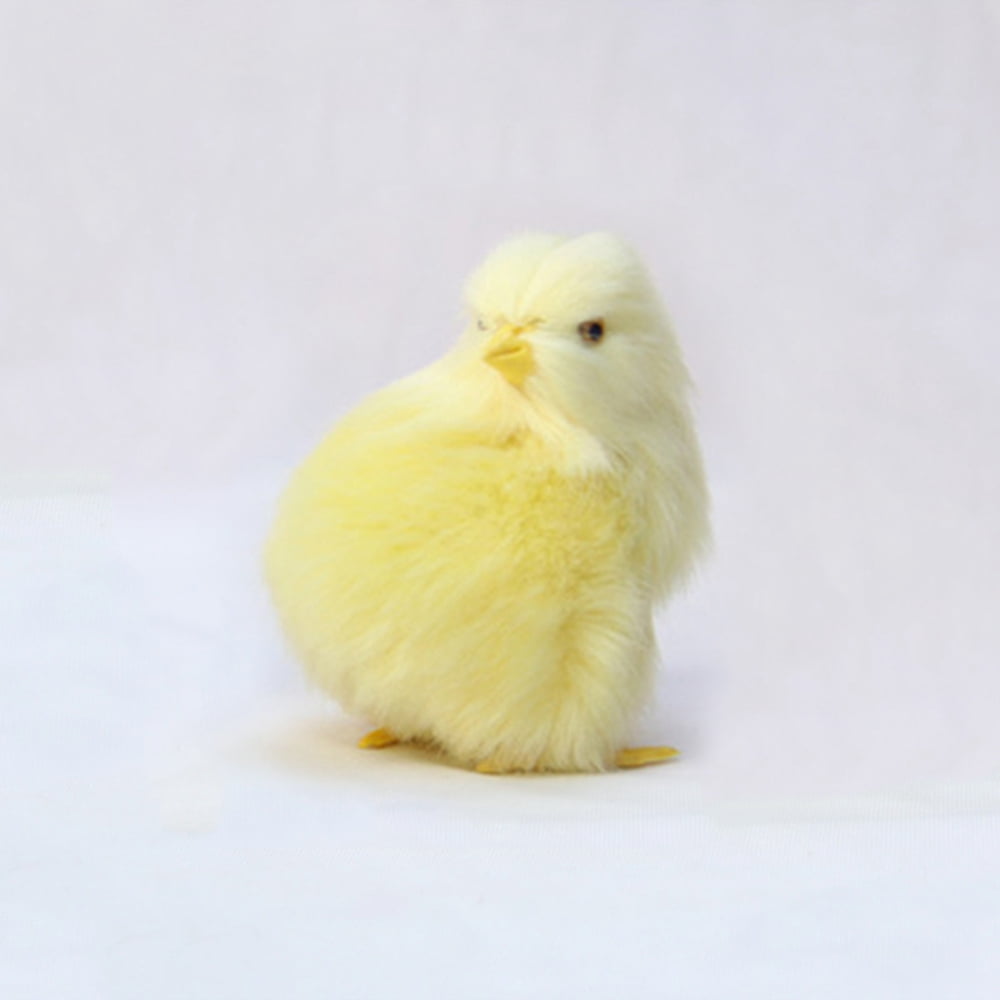 Fluffy Baby Chicken