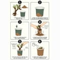 Rare Rose-- Bulk--10 color options --Garden Stake for Outdoor ...