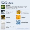 Stonehenge Health Dynamic Joint Supplement, ApresFlex Boswellia, MSM ...