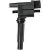 Delphi GN10114 Ignition Coil - Walmart.com