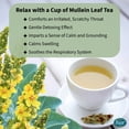 Mullein Leaf Tea, 4 oz - Walmart.com