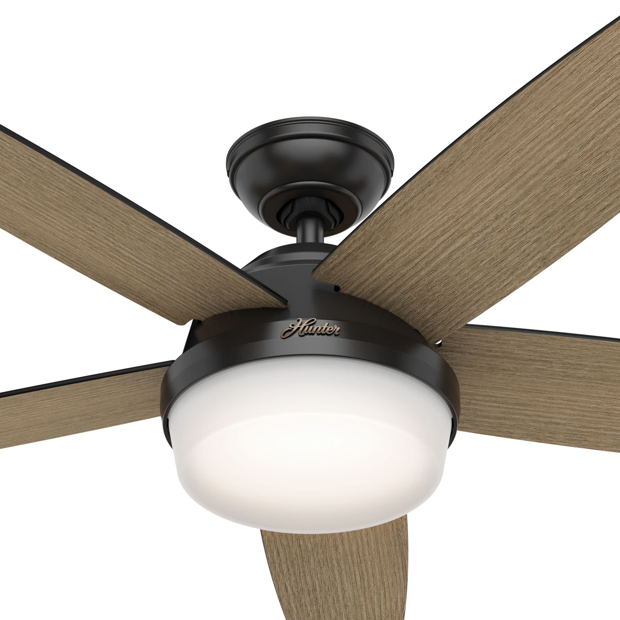 Hunter Avia Led Ceiling Fan | Shelly Lighting