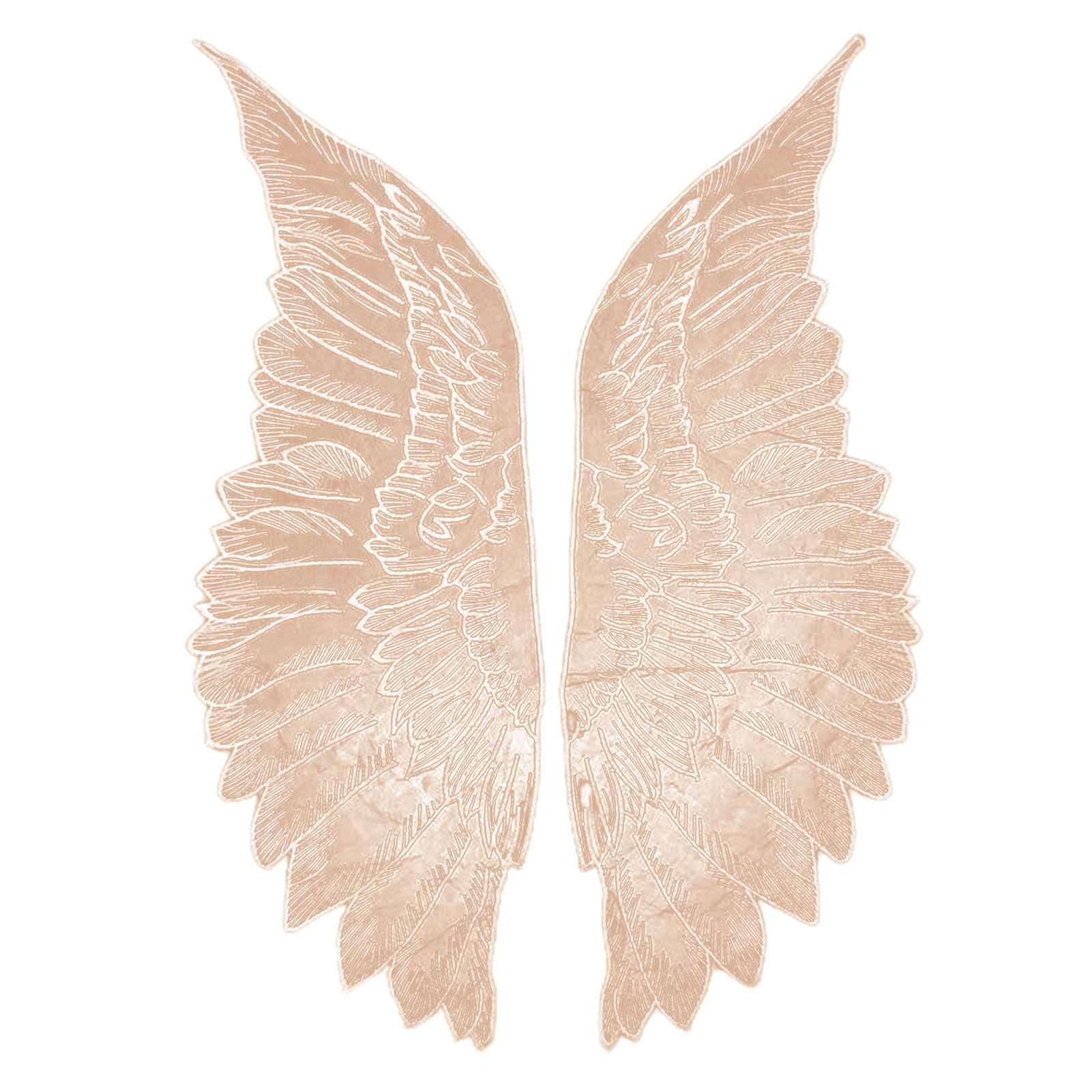 Farfi 1 Pair Wing Lace Patches Elegant Decorative Delicate Embroidery ...