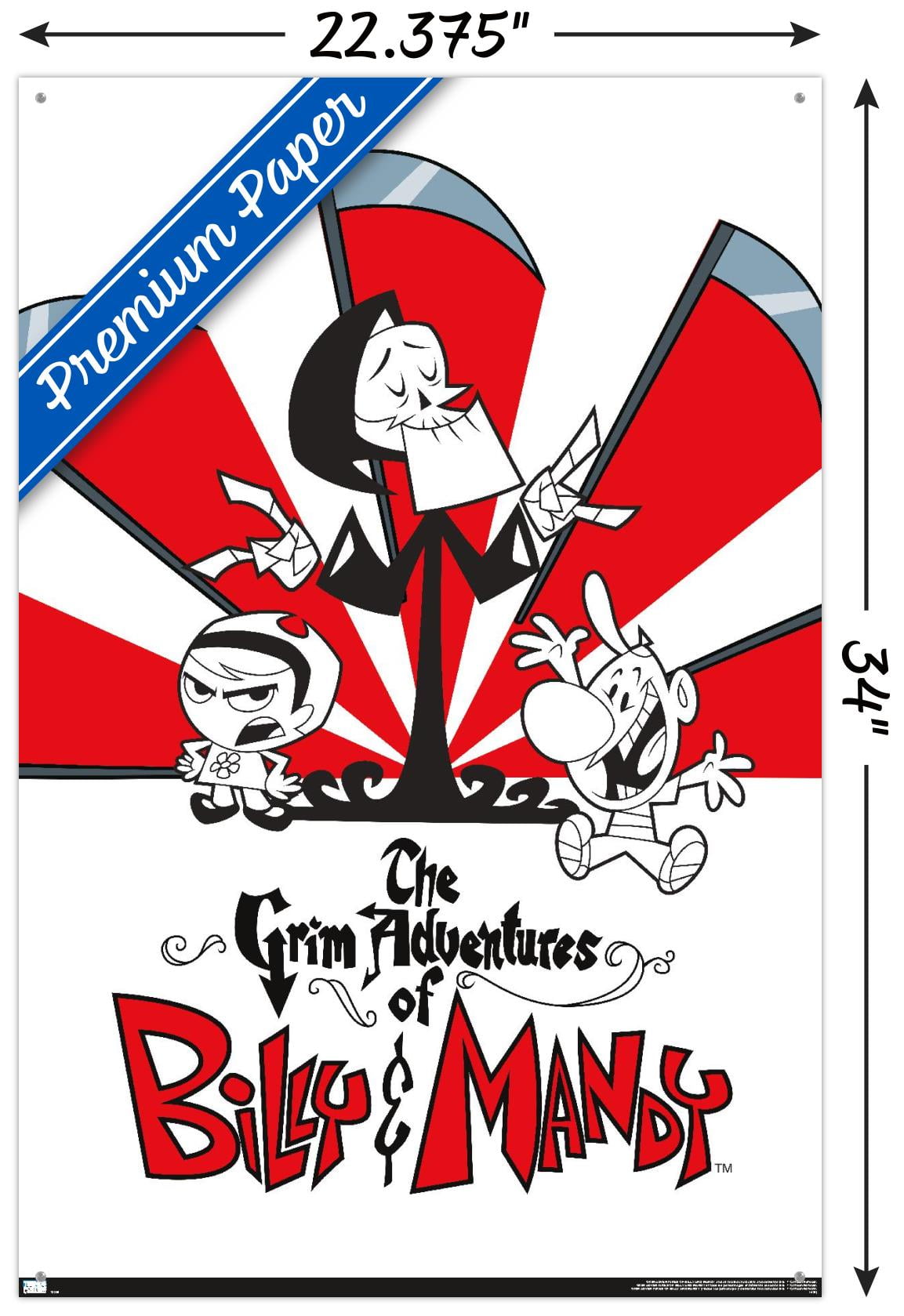 The Grim Adventures Of Billy And Mandy Billy