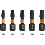 Railer Double Square Screwdriver Bit Set - Premium S2 Steel 1 Inch Impact Driver 5-Piece Trailer ...