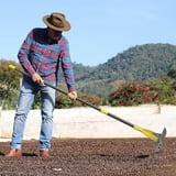 LCOKEIY Thatch Rake 15" Double-Sided Tines with 72" Metal Handle, Heavy ...