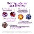 Isotonix OPC-3 Antioxidant, Pycnogenol, Grape Seed, Bilberry, 90 ...