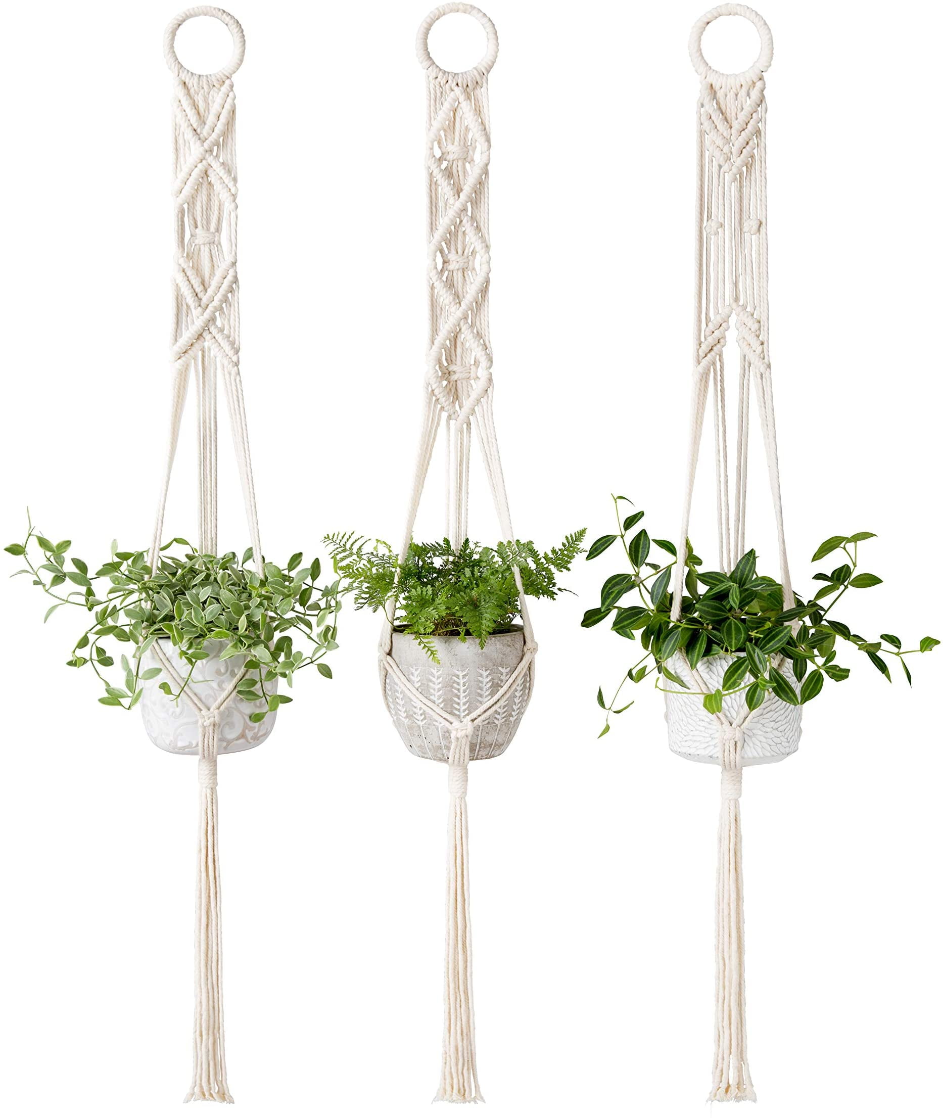 Macrame Air Plant Hanger or Dried Flower Display Macrame Wall Hanging ...