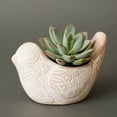 Artisan Variety 7" x 4" x 4.5" Bird White Terracotta Terracotta Bird ...
