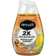 Renuzit Adjustable Air Freshener Gel, Citrus Sunburst, 7 Ounces ...