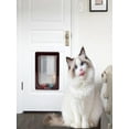Mozhitti Cat Door 4 Way Locking Large Cat Door For Interior Exterior ...