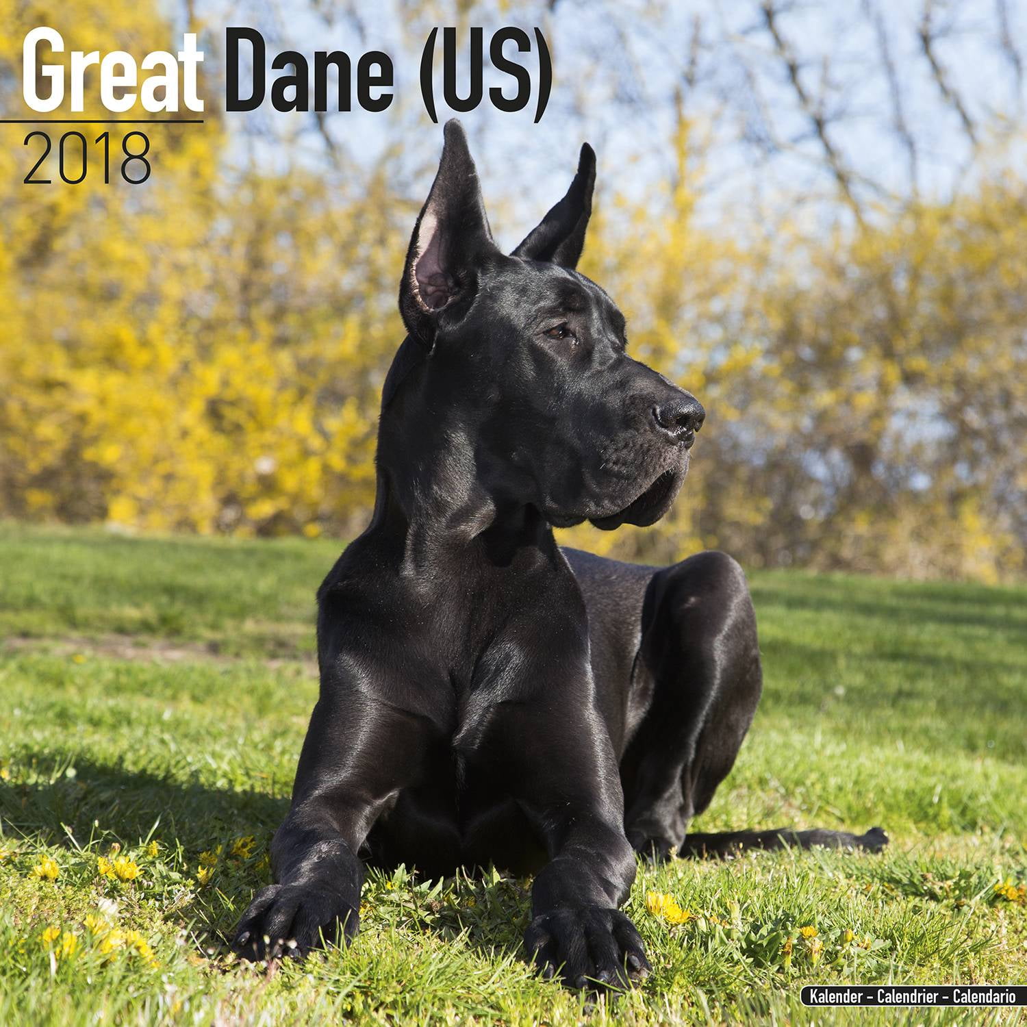 Great Dane Calendar 2018 (US) - Dog Breed Calendar - Wall Calendar 2017 ...