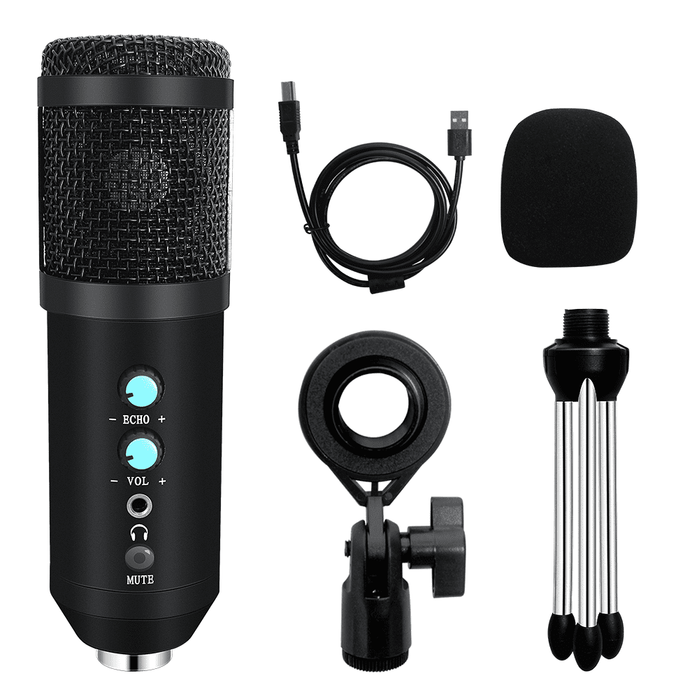 Computer Recording Microphone
