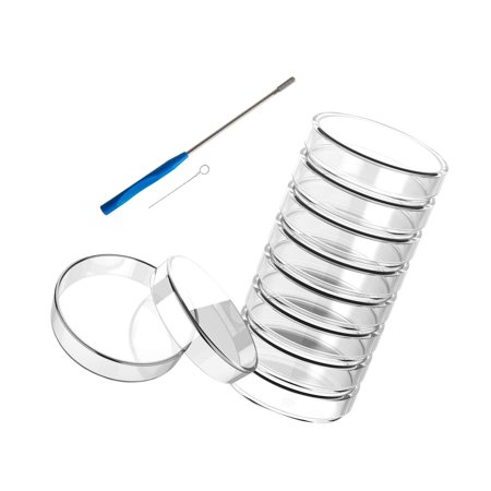 10x Glass Petri Dishes Culture Dishes Reusable Easy Clean Plates ...