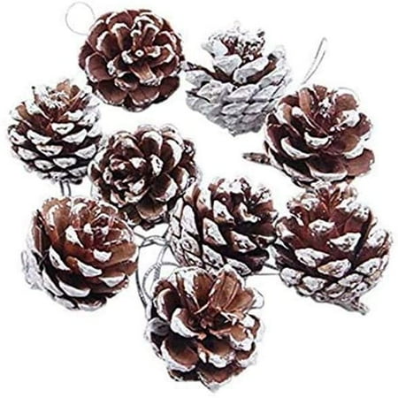 Qianli 9 Pieces Pine Cone Christmas Tree Decorations, Natural Snow Tip ...