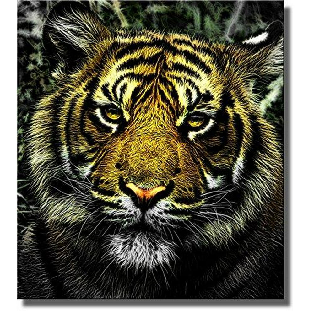 Tiger Head Picture on Stretched Canvas, Wall Art Decor Ready to Hang ...