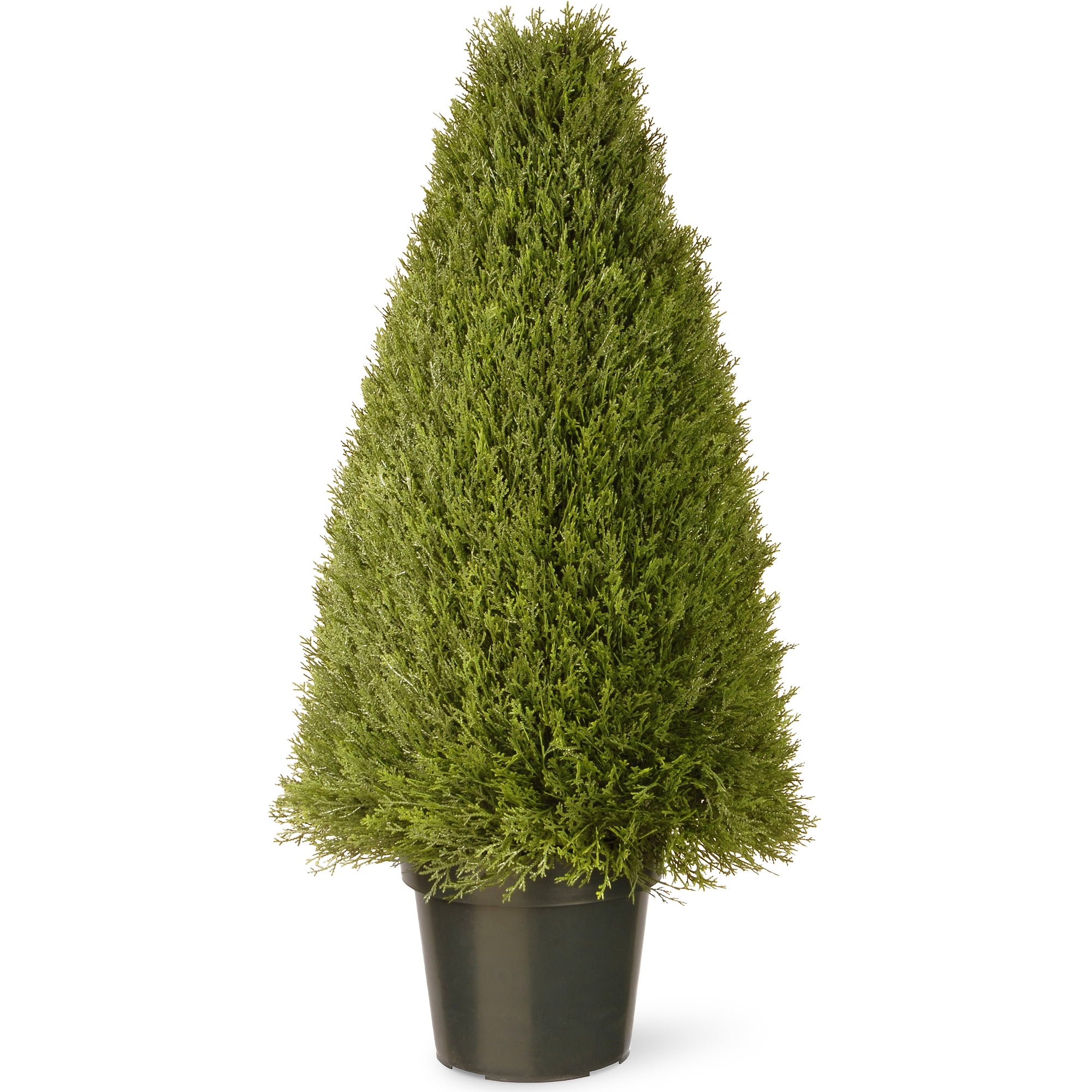 36" Upright Juniper w/ Green Pot - Walmart.com