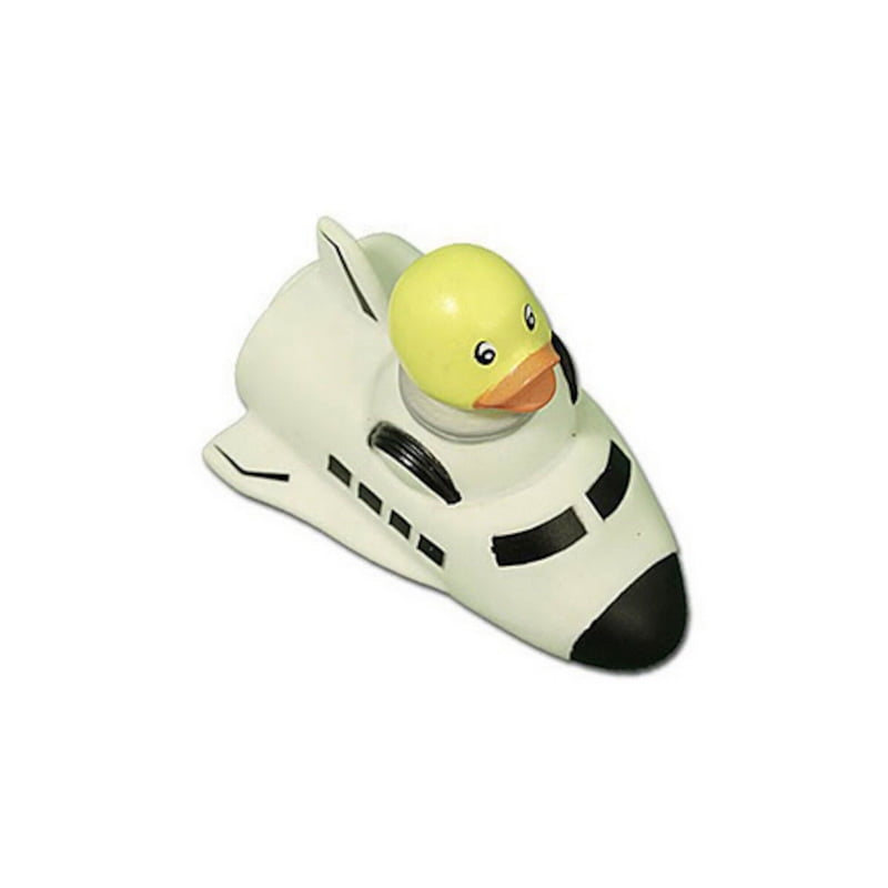 Space Shuttle Ducks