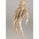 Animated 8 Foot Giant Skeleton Decoration - Walmart.com