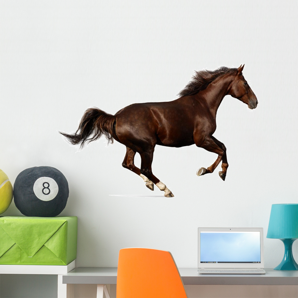 Gallop H)orse Wall Decal Sticker by Wallmonkeys Vinyl Peel and Stick ...