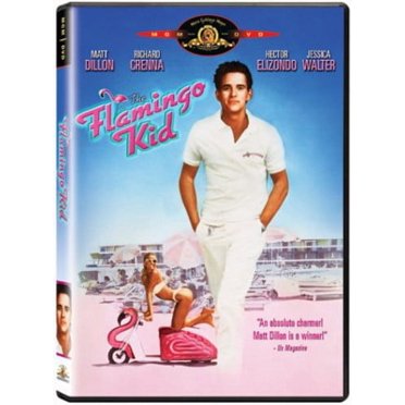 The Flamingo Kid (DVD) - Walmart.com