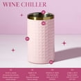 Paris Hilton Stainless Steel Insulated Wine Bottle Chiller, Pink ...