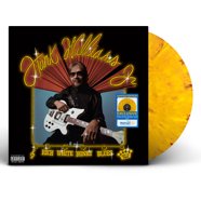 Hank Williams Jr - Greatest Hits 1 - Vinyl - Walmart.com