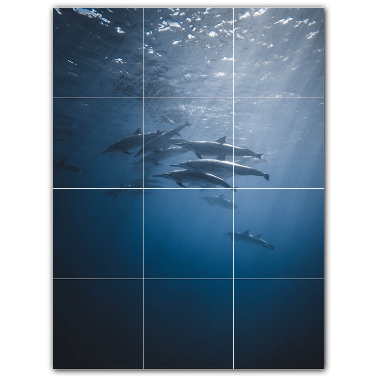 Picture-Tiles.com: Dolphin Ceramic Tile Wall Mural WAL500514-34M. 18"W ...