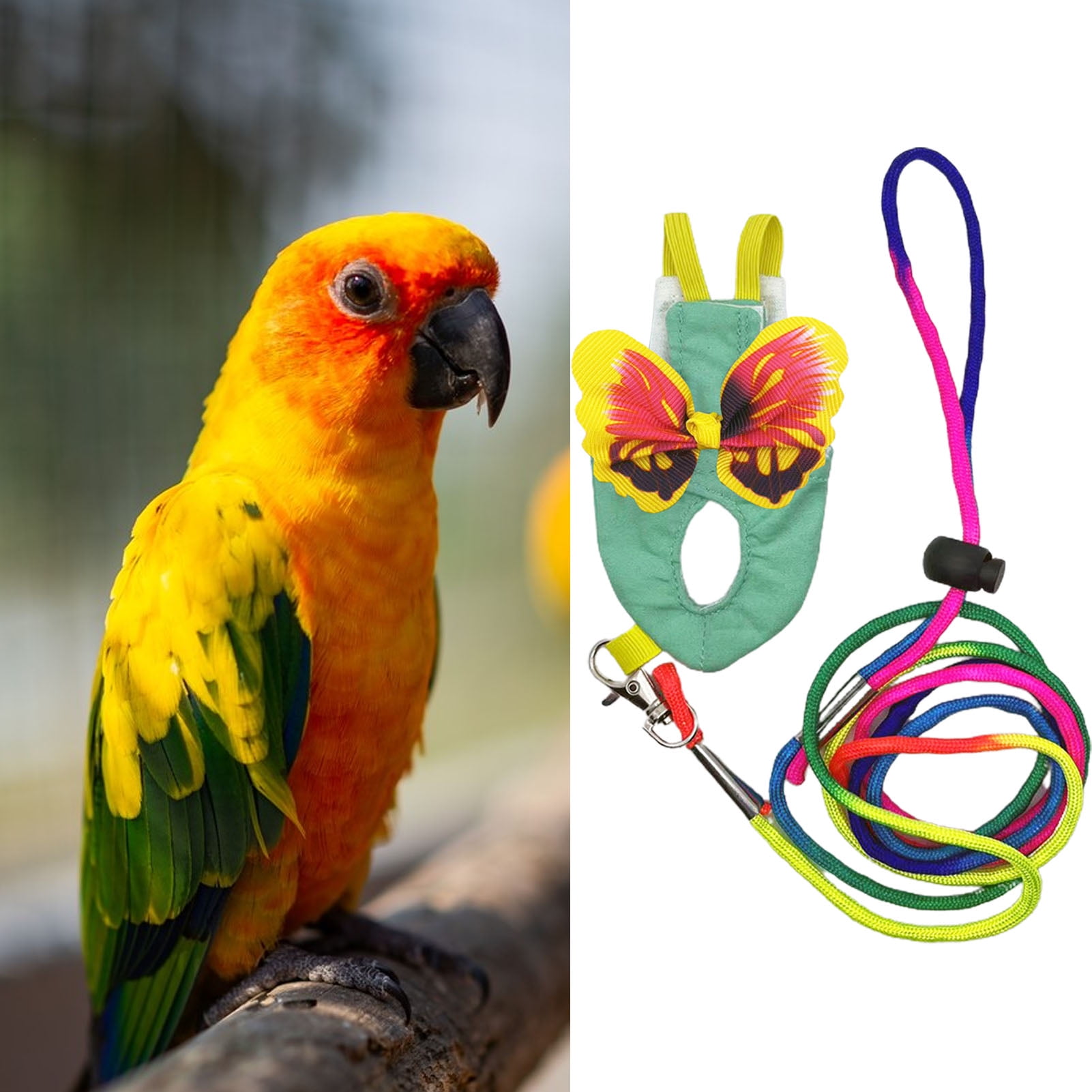 opvise Parrot Harness Leash Butterflies Wing Decor Elastic Shoulder ...