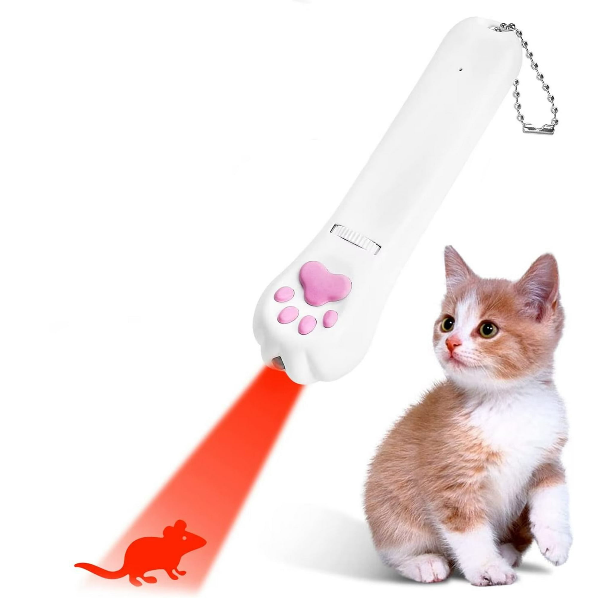 Are Laser Lights Safe For Dogs