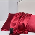 AUQ 2026 New Pillow Covers Elegant Cushion Couch Pillows Snowy Chenille ...