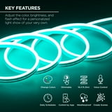 Merkury Innovations Smart Indoor and Outdoor Flex LED Multicolor Neon ...