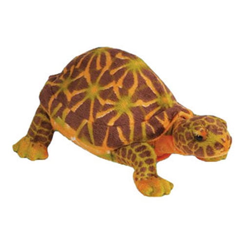 Adventure Planet Plush - BOX TURTLE ( 10 inch ) - Walmart.com