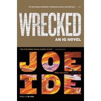 IQ Novel IQ, Book 1, (Paperback) - Walmart.com