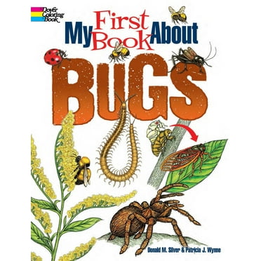 A True Book: Animal Kingdom: Insects and Spiders (A True Book: Animal ...