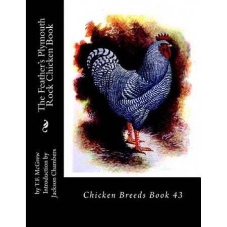 The Feather's Plymouth Rock Chicken Book: Chicken Breeds Book 43 ...