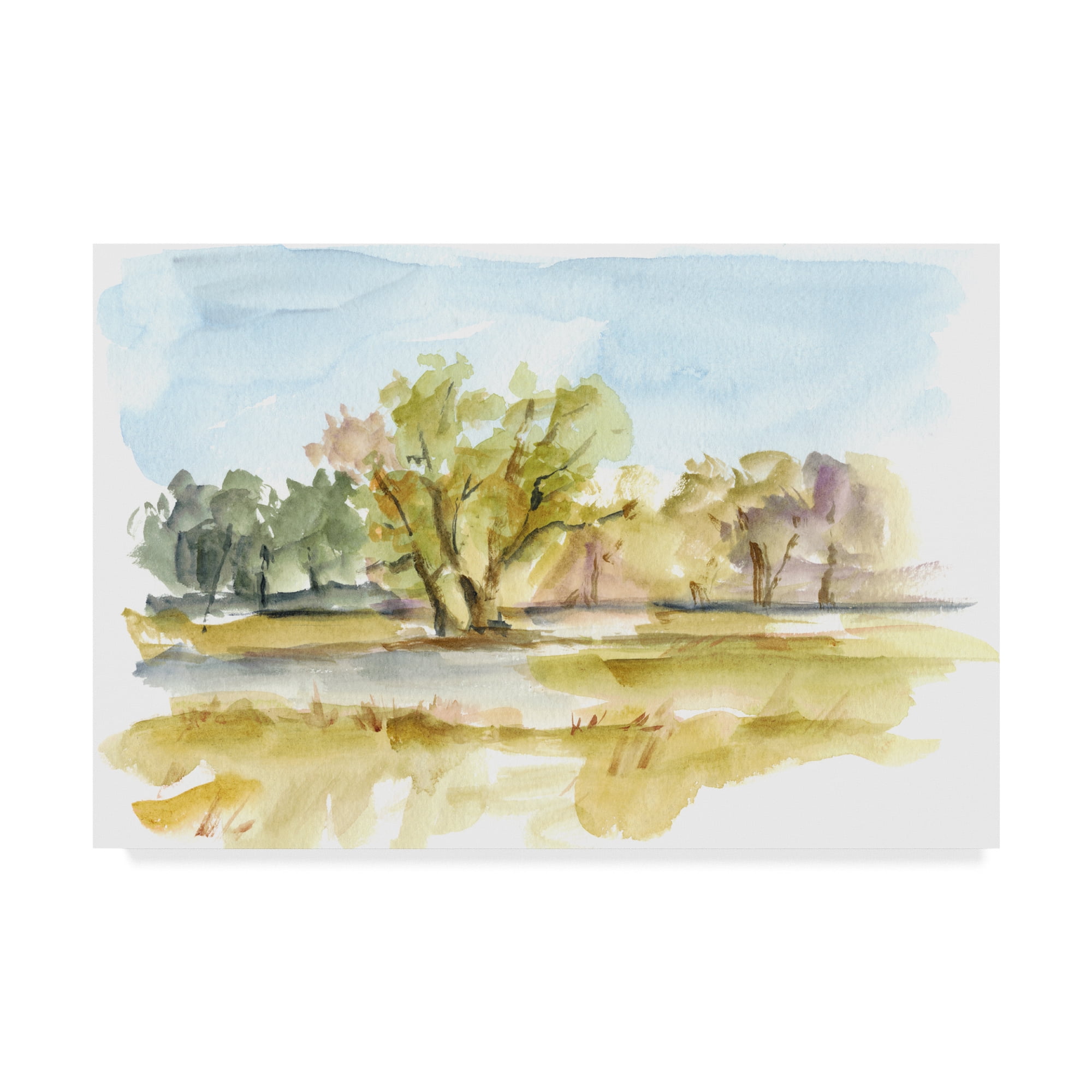 Trademark Fine Art 'Vibrant Watercolor I' Canvas Art by Ethan Harper ...