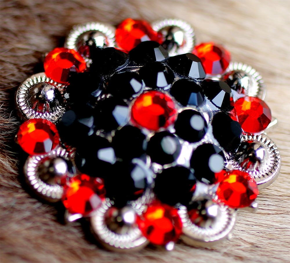 4 Conchos Rhinestone Horse Saddle Western Bridle Berry Co376 - Walmart.com