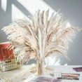 Xaweyi Artificial and Flowers 50 Pcs Natural Dried Pampas Grass Bonquet ...