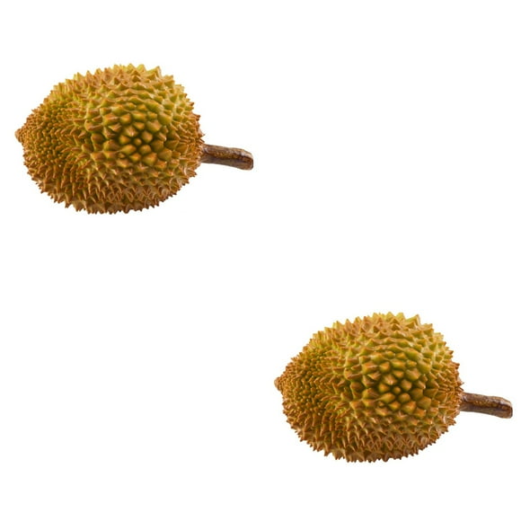 Durian Fruit