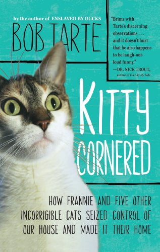 Catty-cornered Cats