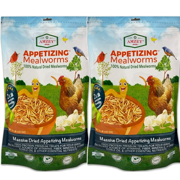 Flock Party Mealworms Chickens