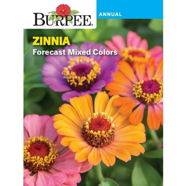 50 Pack, Carousel Mix Zinnia Elegans, Bicolor Flower Seeds in Mixed ...