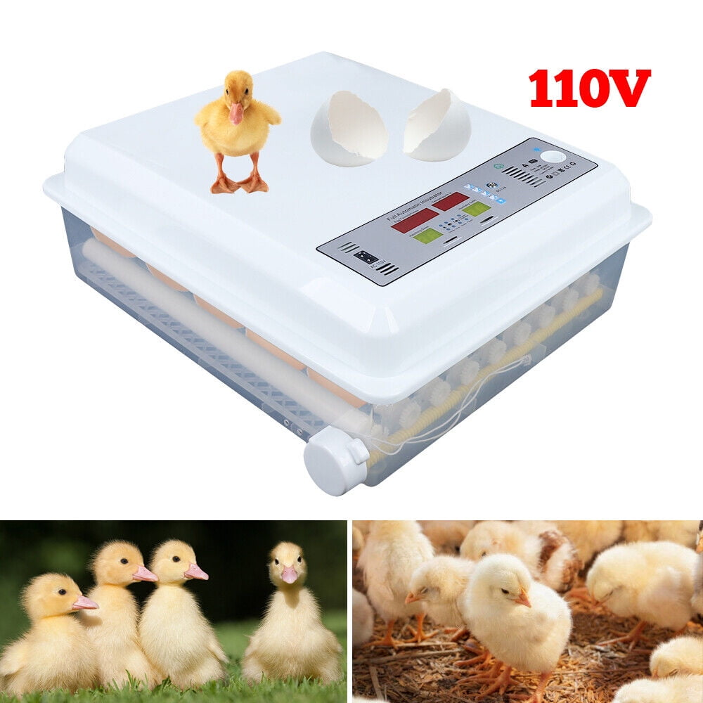 Miumaeov 64 Eggs Egg Incubator Fully Digital Automatic Hatcher for ...