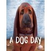 No More Dead Dogs, (Paperback) - Walmart.com